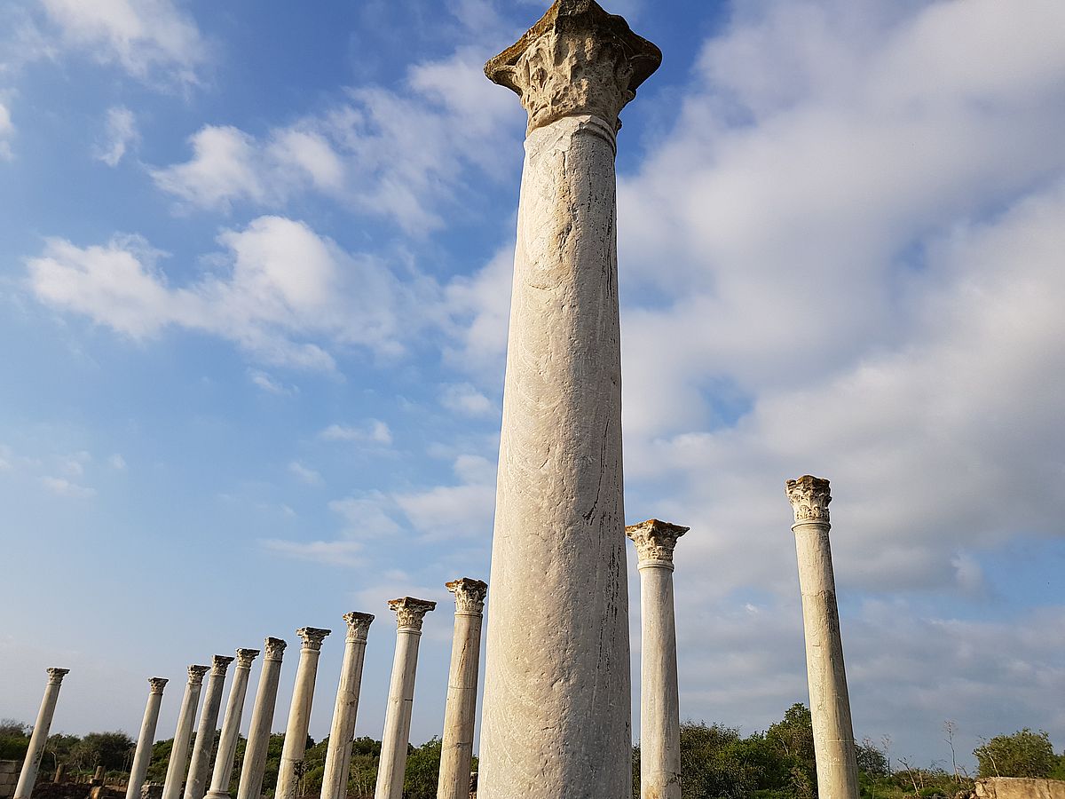Le marbre de Salamine de Chypre témoin de l'histoire et des batailles